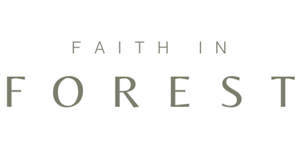 Summit – Faith in Forest